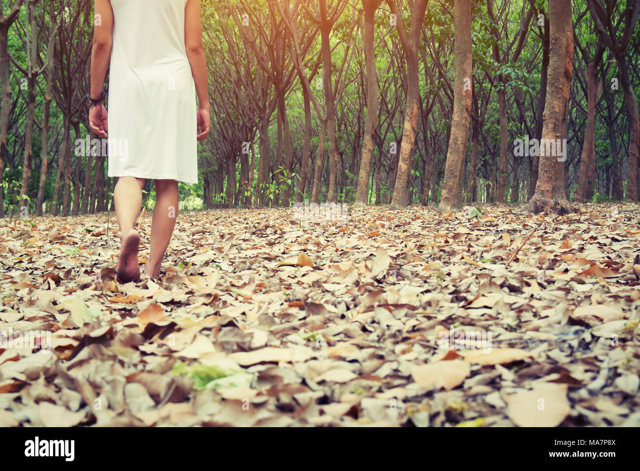 Sad woman walking alone in the forest feeling sad and lonely Stock ...