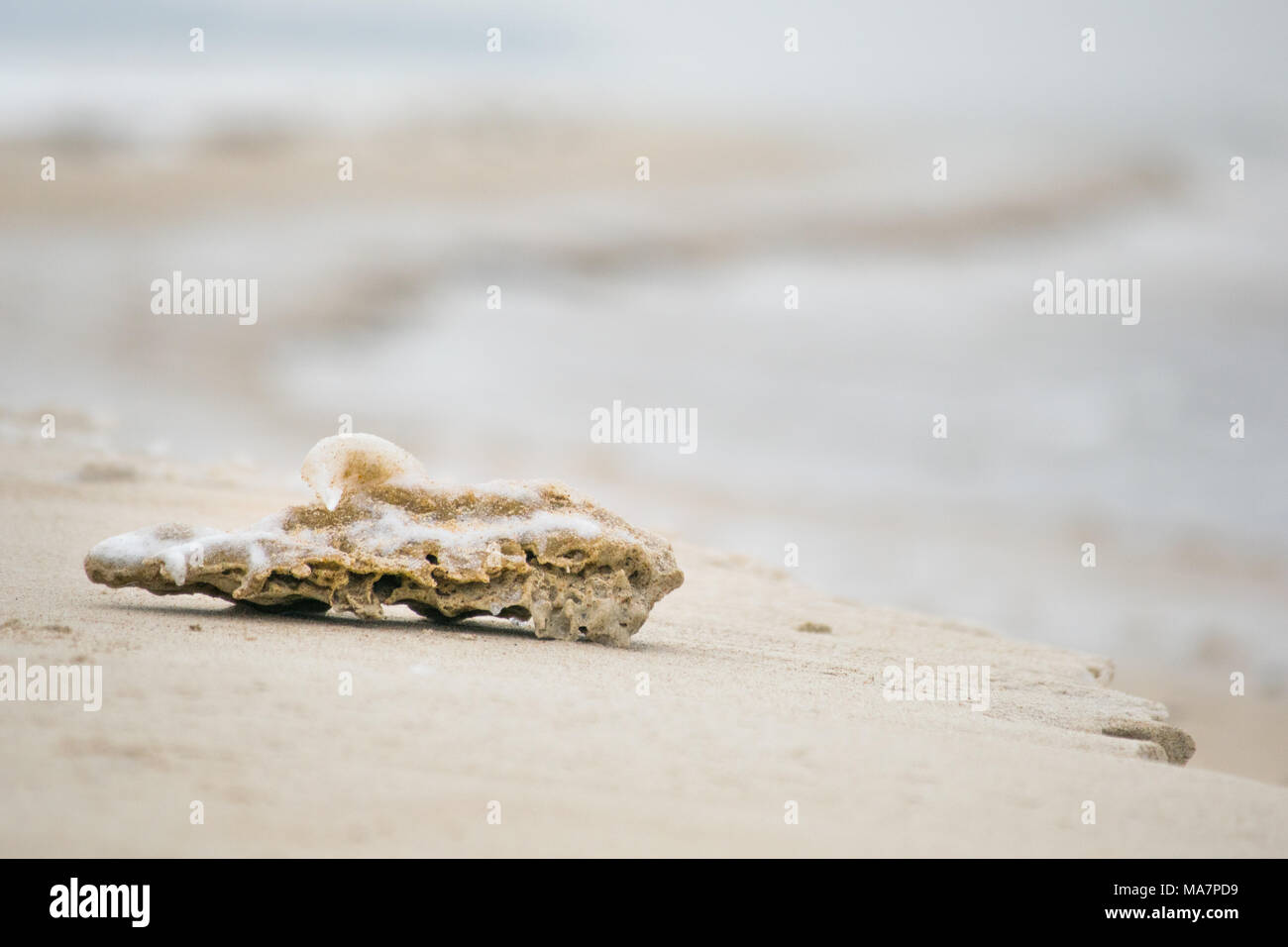 frozen sand on beach in winter Stock Photo - Alamy