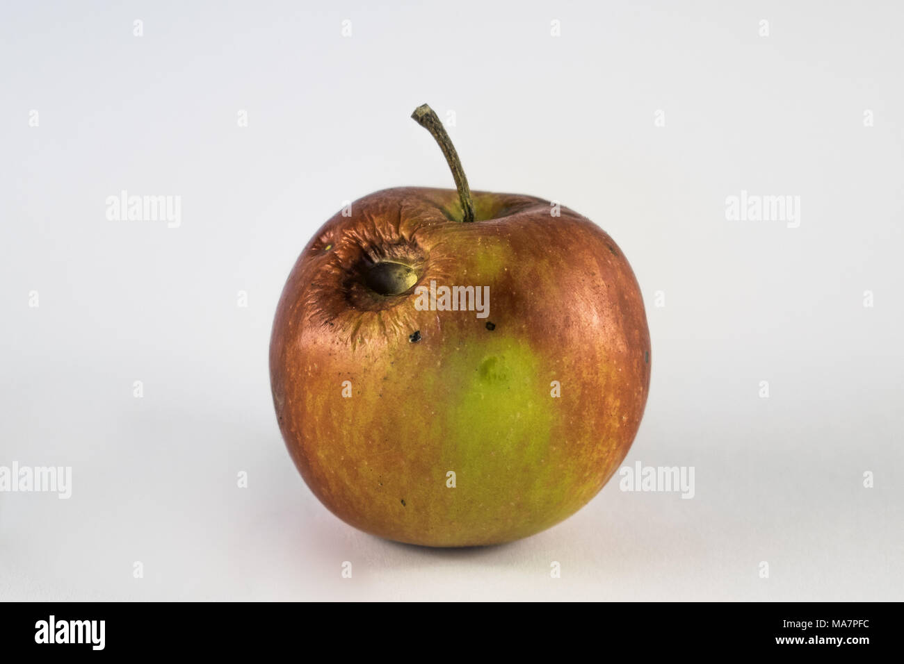 bad spoiled apple on white background Stock Photo - Alamy
