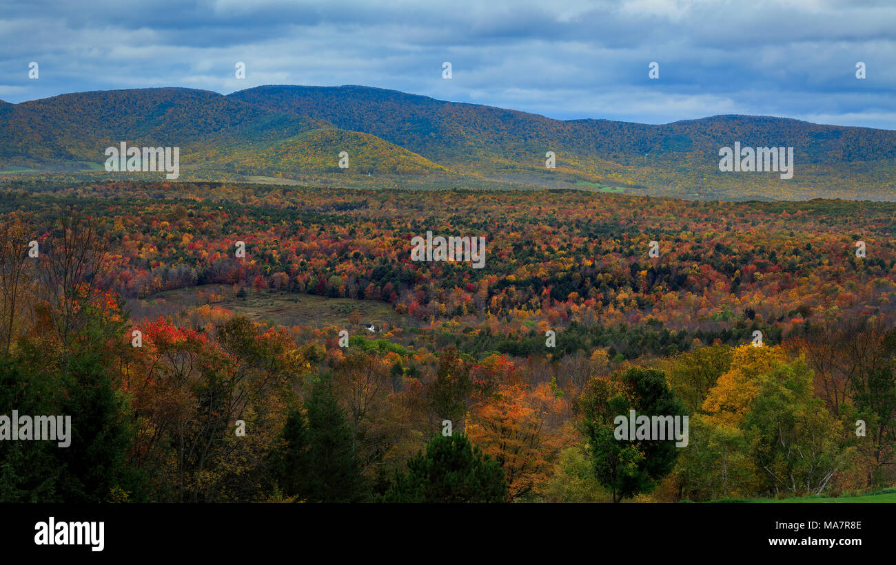 Greene county hi-res stock photography and images - Alamy