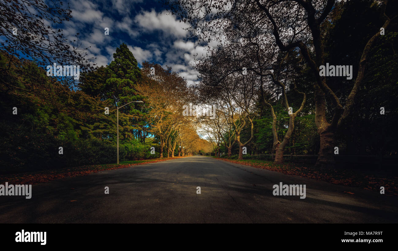 Long coastal road hi-res stock photography and images - Alamy