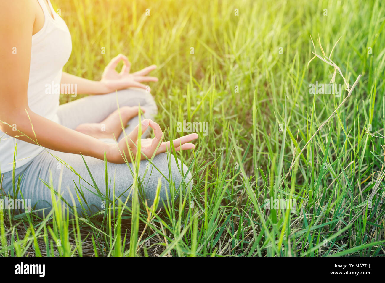 Yoga woman In the lotus posture Stock Photo - Alamy