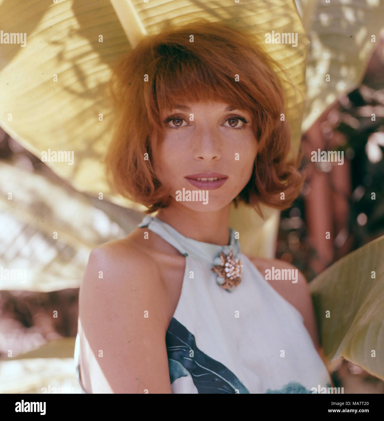 ELSA MARTINELLI (1935-2017) Italian film actress about1965 Stock Photo ...