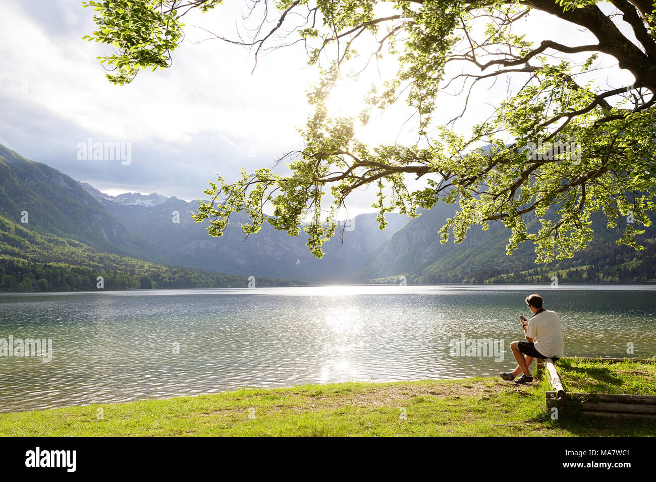 Man relaxing under an old oak tree with a beautiful view over the ...