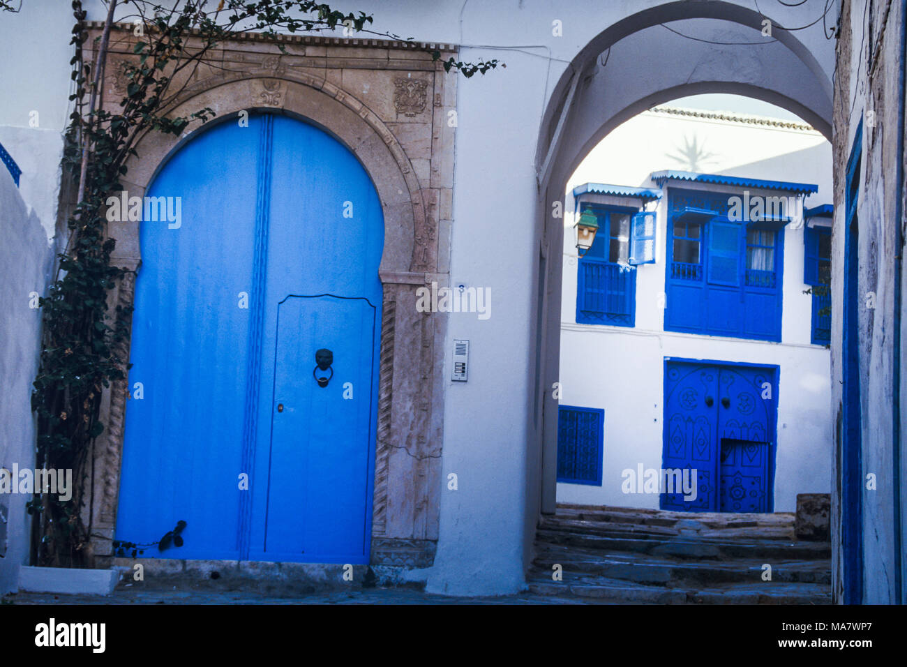 Tunisia, Bizerte, Tunis - view of the old village, windows and door ...