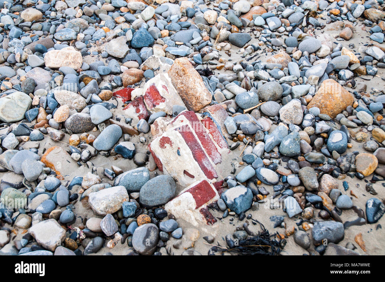 Beach pebbles rocks shells hi-res stock photography and images - Alamy