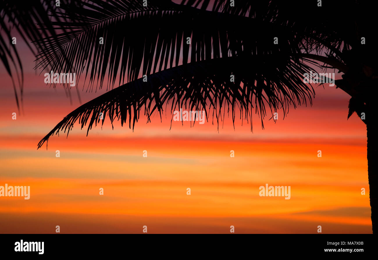 Orange sunset tropical background Stock Photo - Alamy