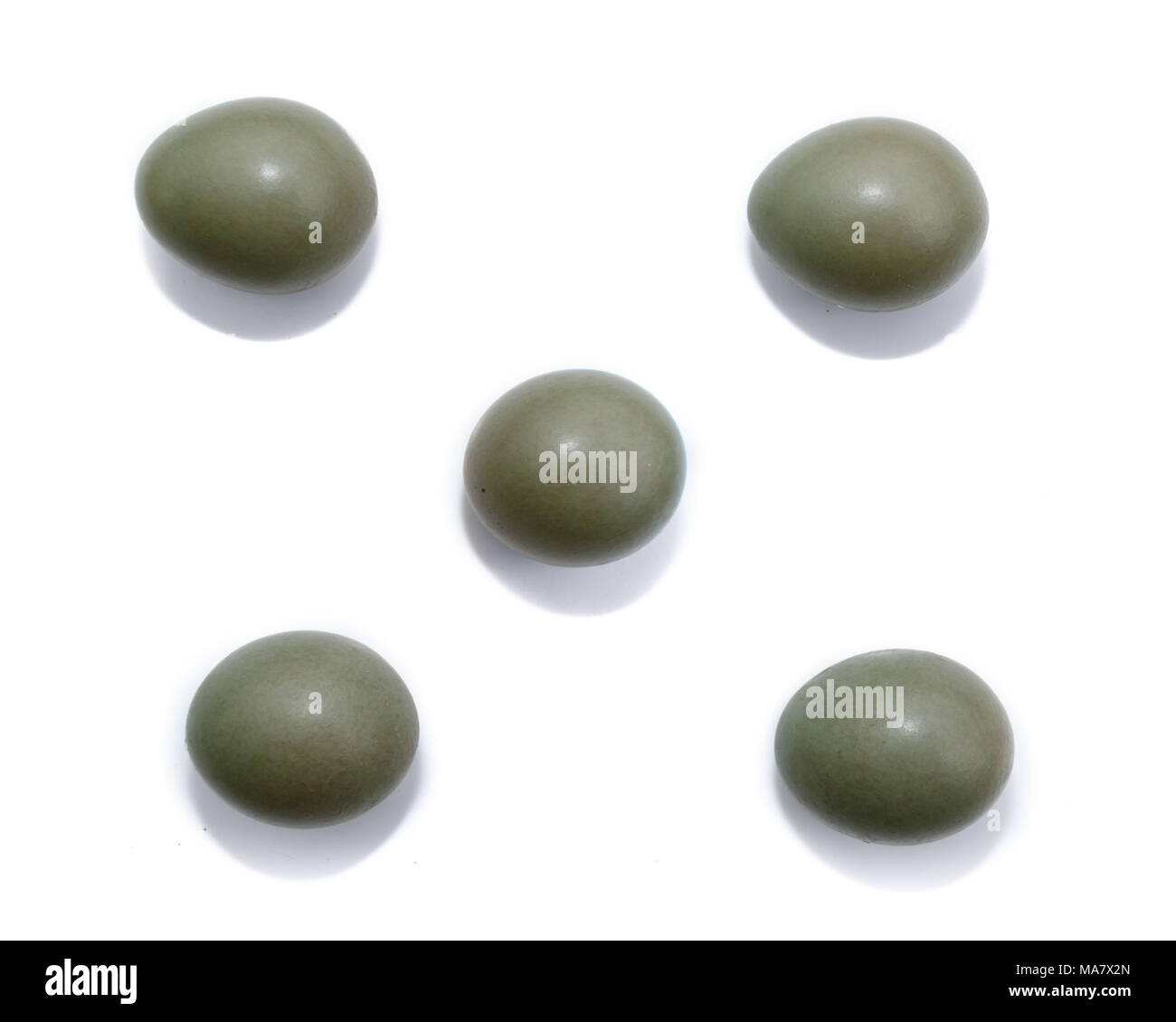 Luscinia svecica. The eggs of the Bluethroat in front of white ...