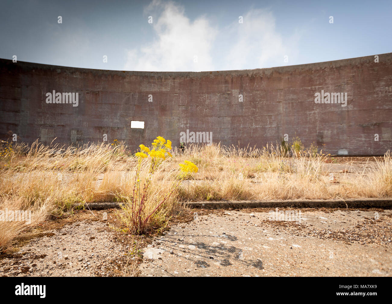 Radar ears hi-res stock photography and images - Alamy