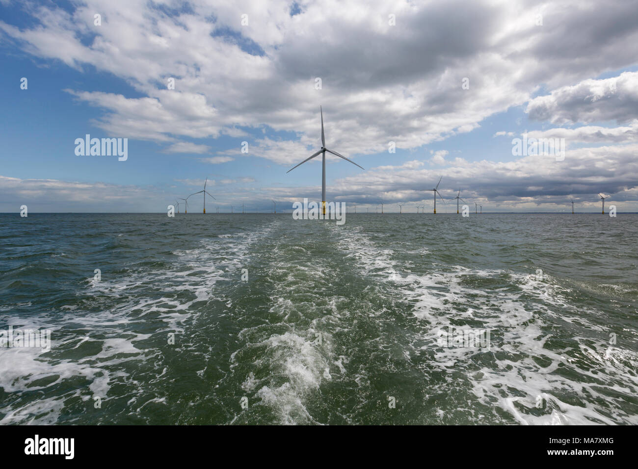 The turbines of the Kentish Flats Wind Farm in the Thames Estuary. The ...