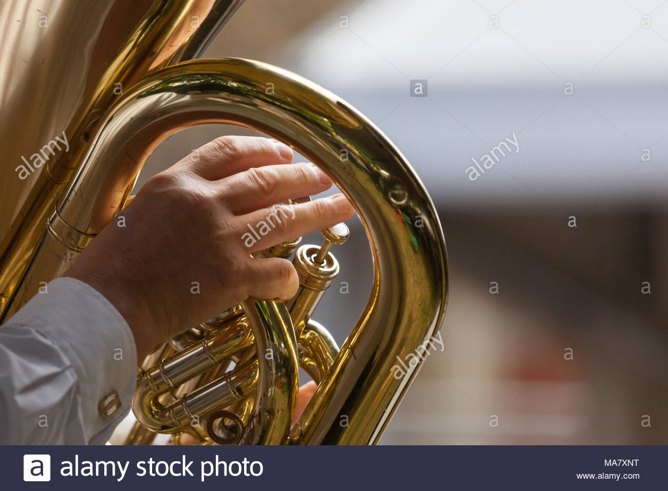 Tuba Player Stock Photos & Tuba Player Stock Images - Alamy