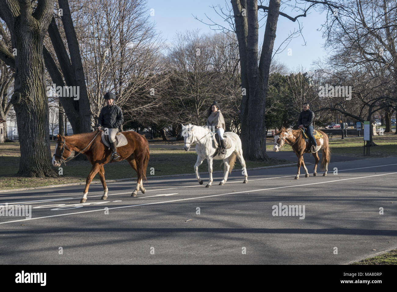 Horses on the road hi-res stock photography and images - Alamy