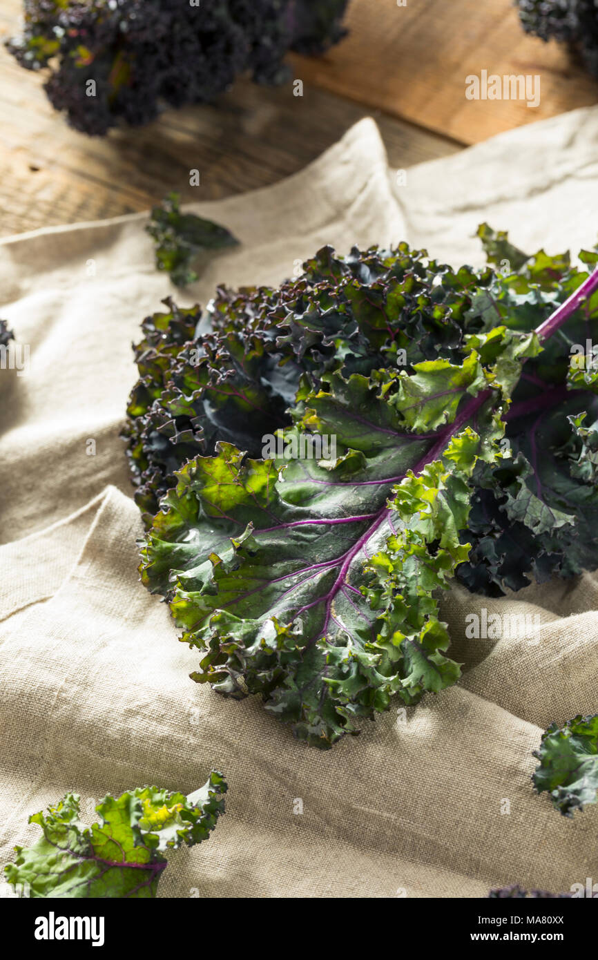 Organic Healthy Red Kale Ready to Eat Stock Photo - Alamy