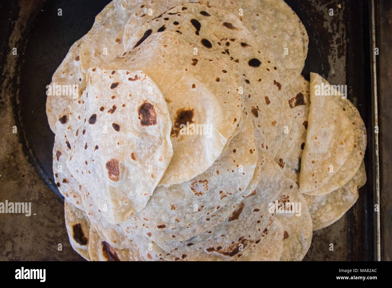 Mound cactus hi-res stock photography and images - Alamy