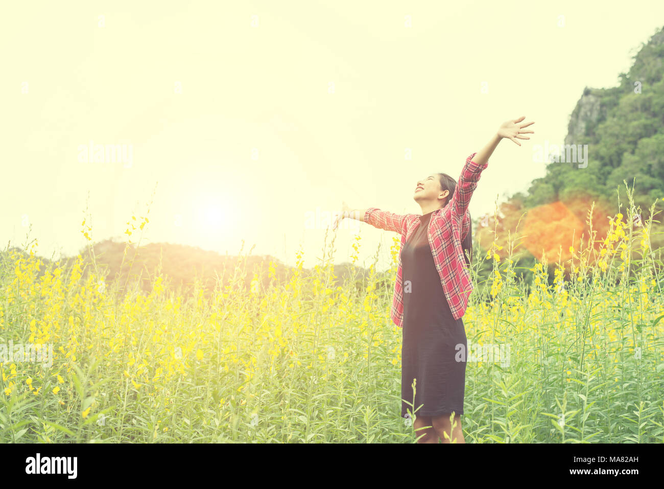 Young happy woman raising hands in yellow flower field on sunset ...