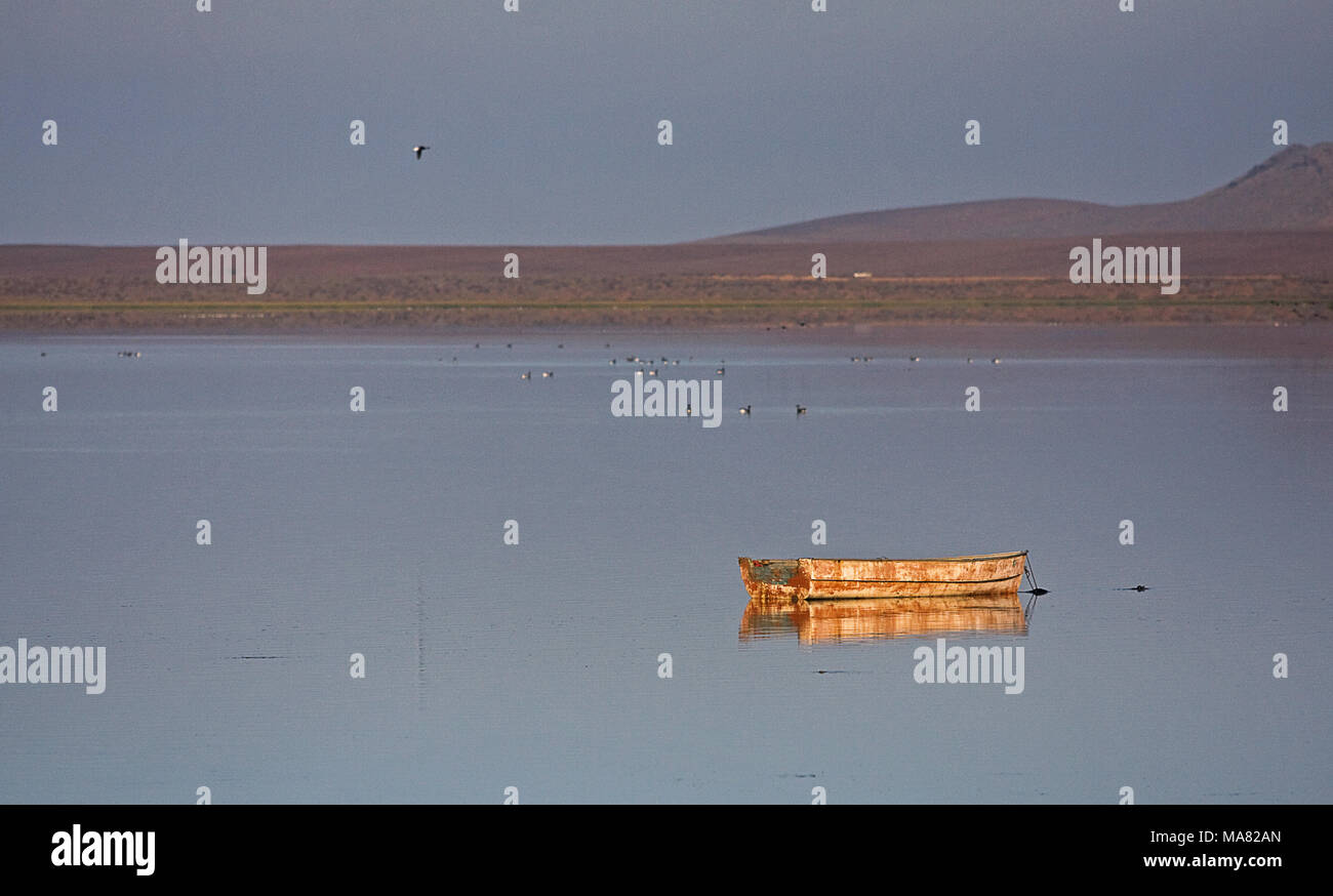 Motorless hi-res stock photography and images - Alamy