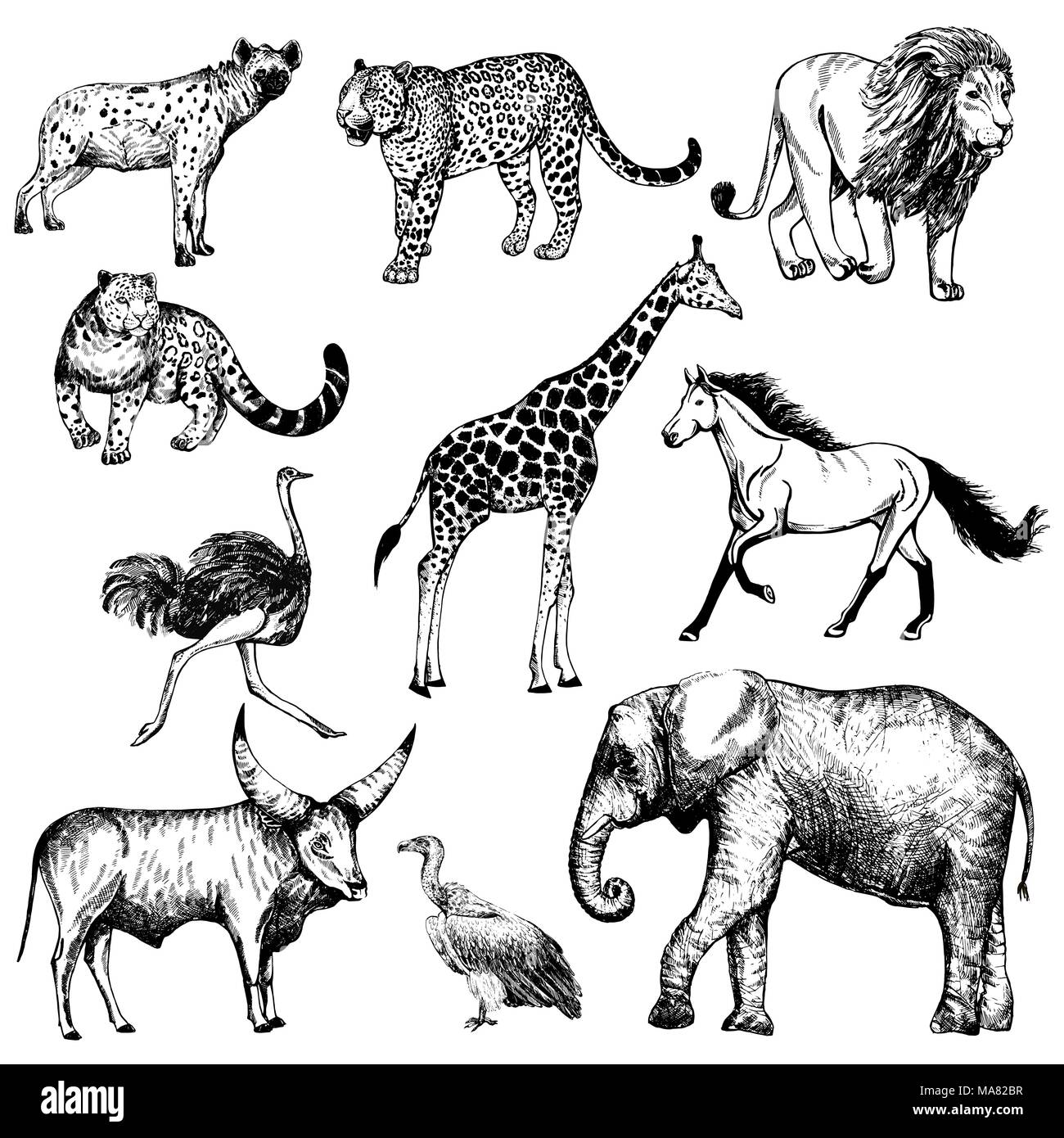 Big set of hand drawn sketch style animals isolated on white background ...