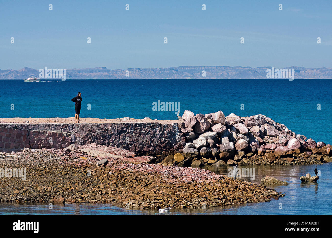 Pondering trees hi-res stock photography and images - Alamy