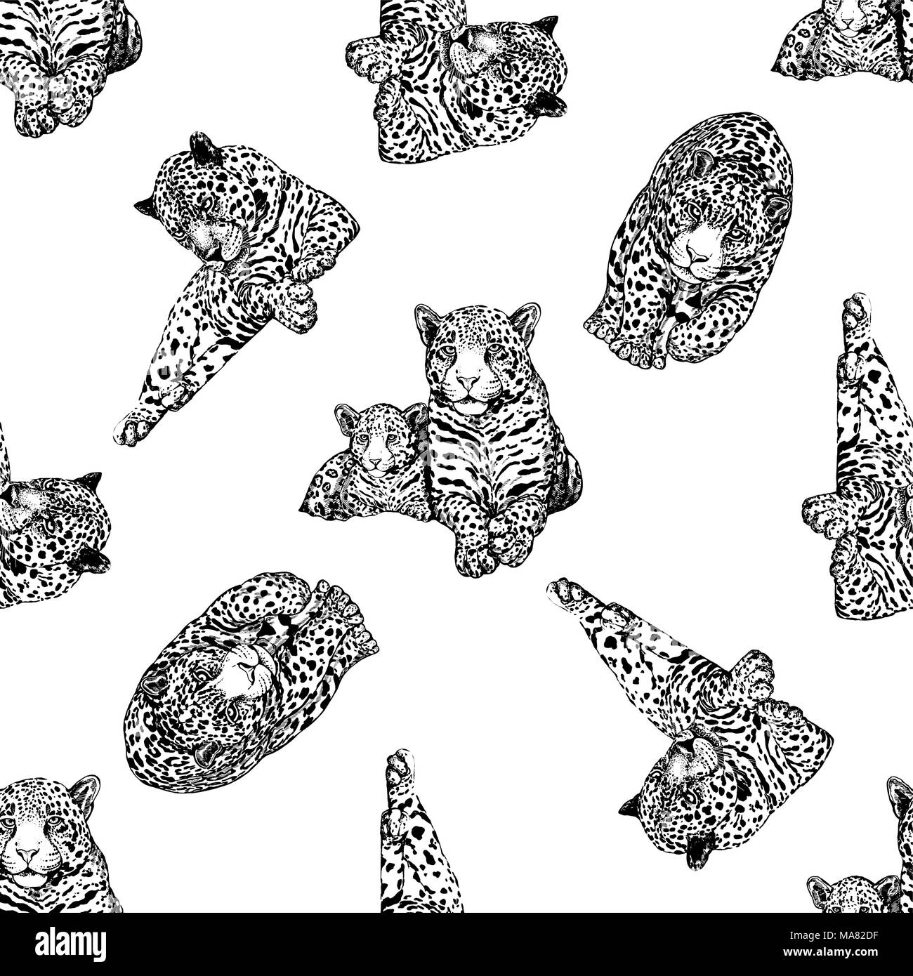 Seamless pattern of hand drawn sketch style leopards isolated on white ...