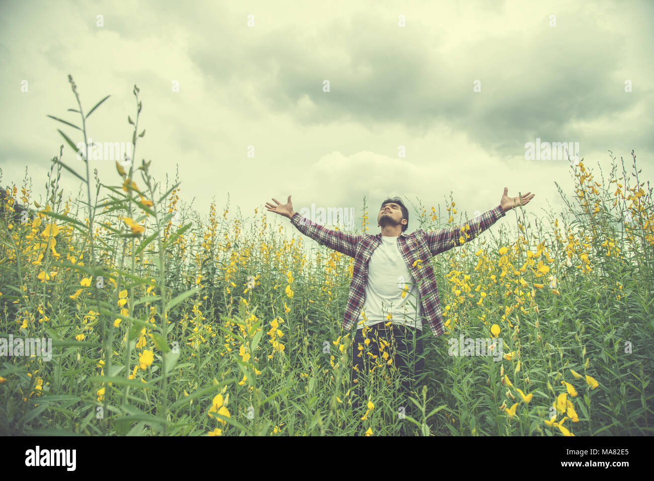 Flower Fields Hipster