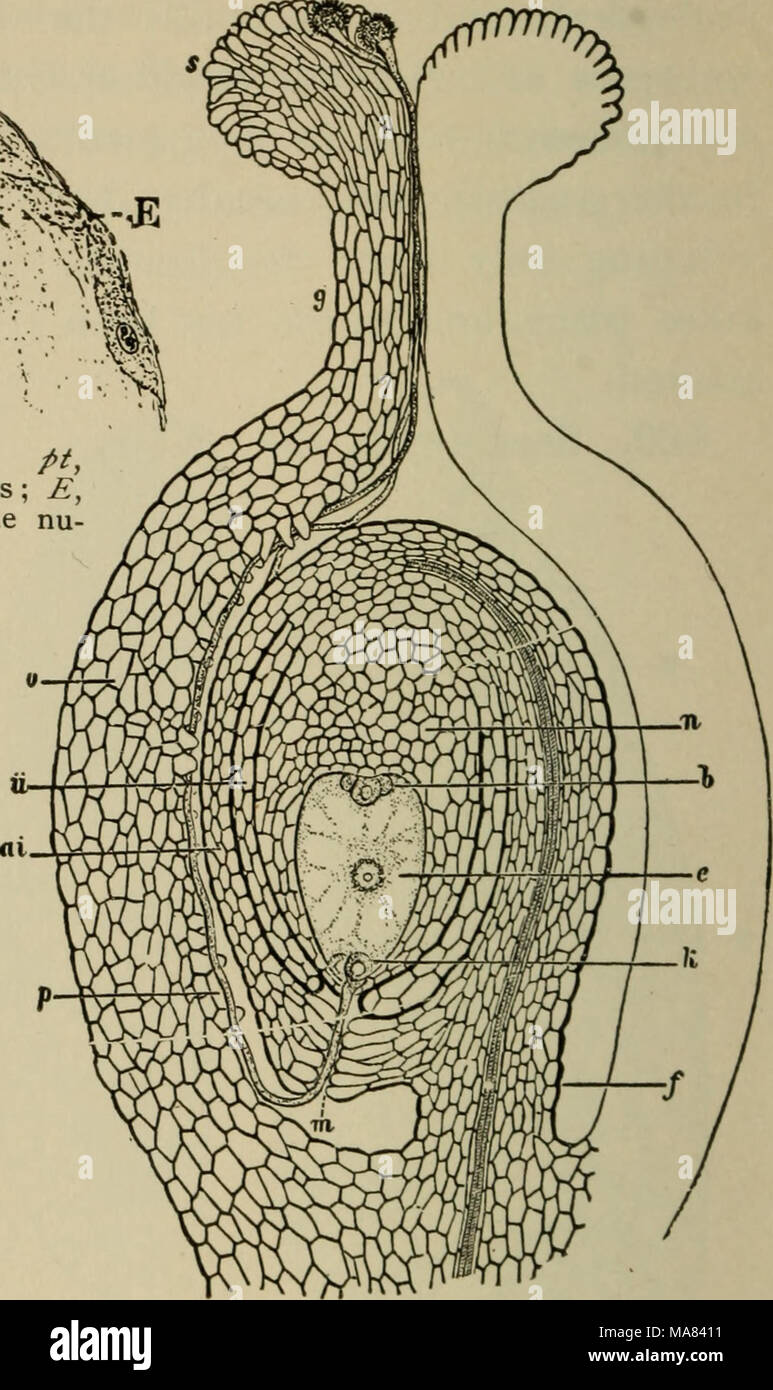 Funicle hi-res stock photography and images - Alamy