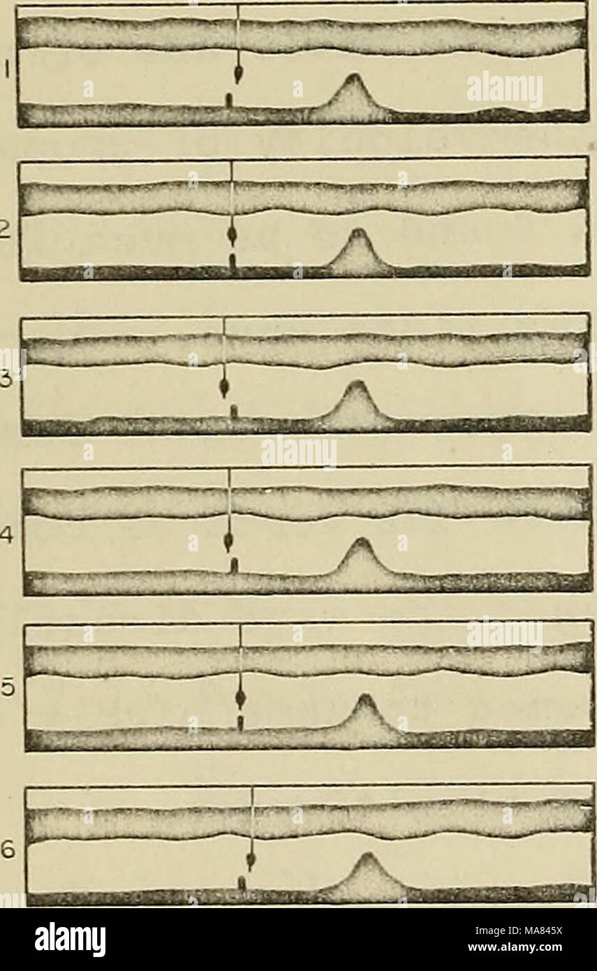 . Effects of weather upon the thermal structure of the ocean. Progress ...