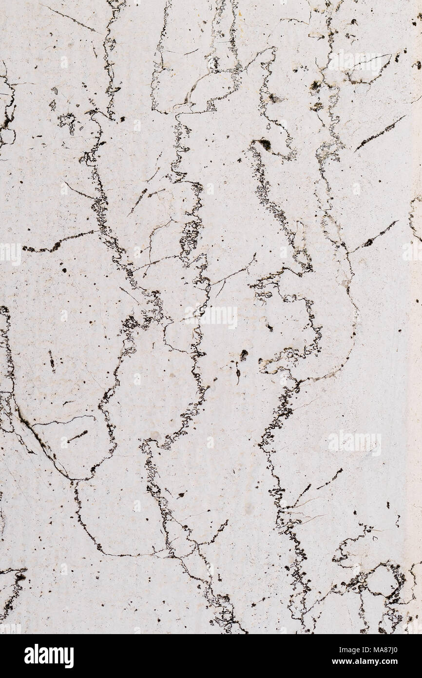 graphic elements - stone and rock textures Stock Photo - Alamy