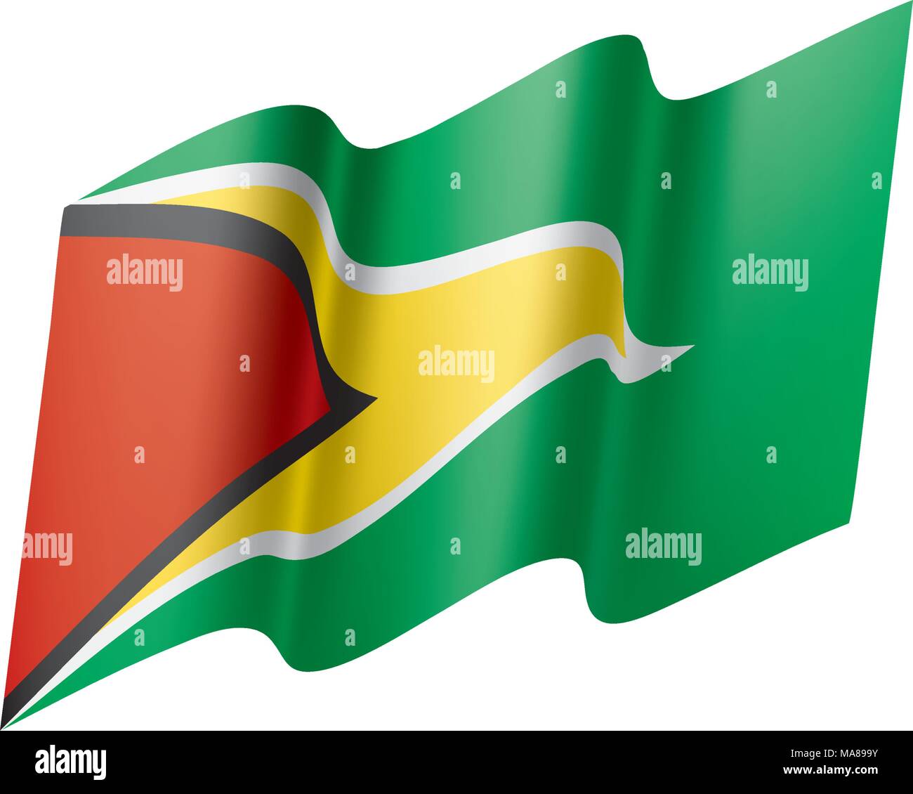 Guyana flag, vector illustration Stock Vector Image & Art - Alamy