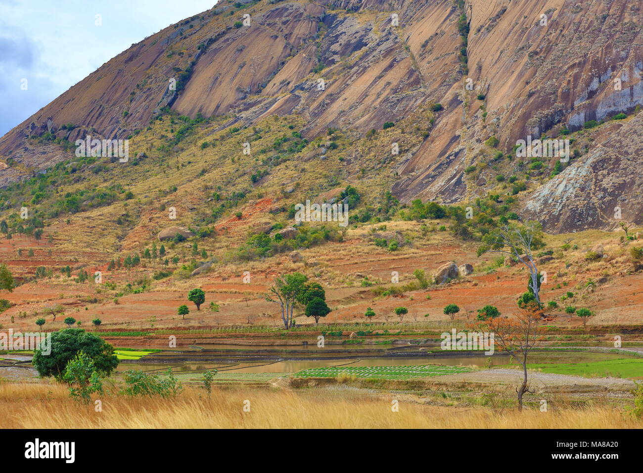 rural scene, Madagascar Stock Photo - Alamy