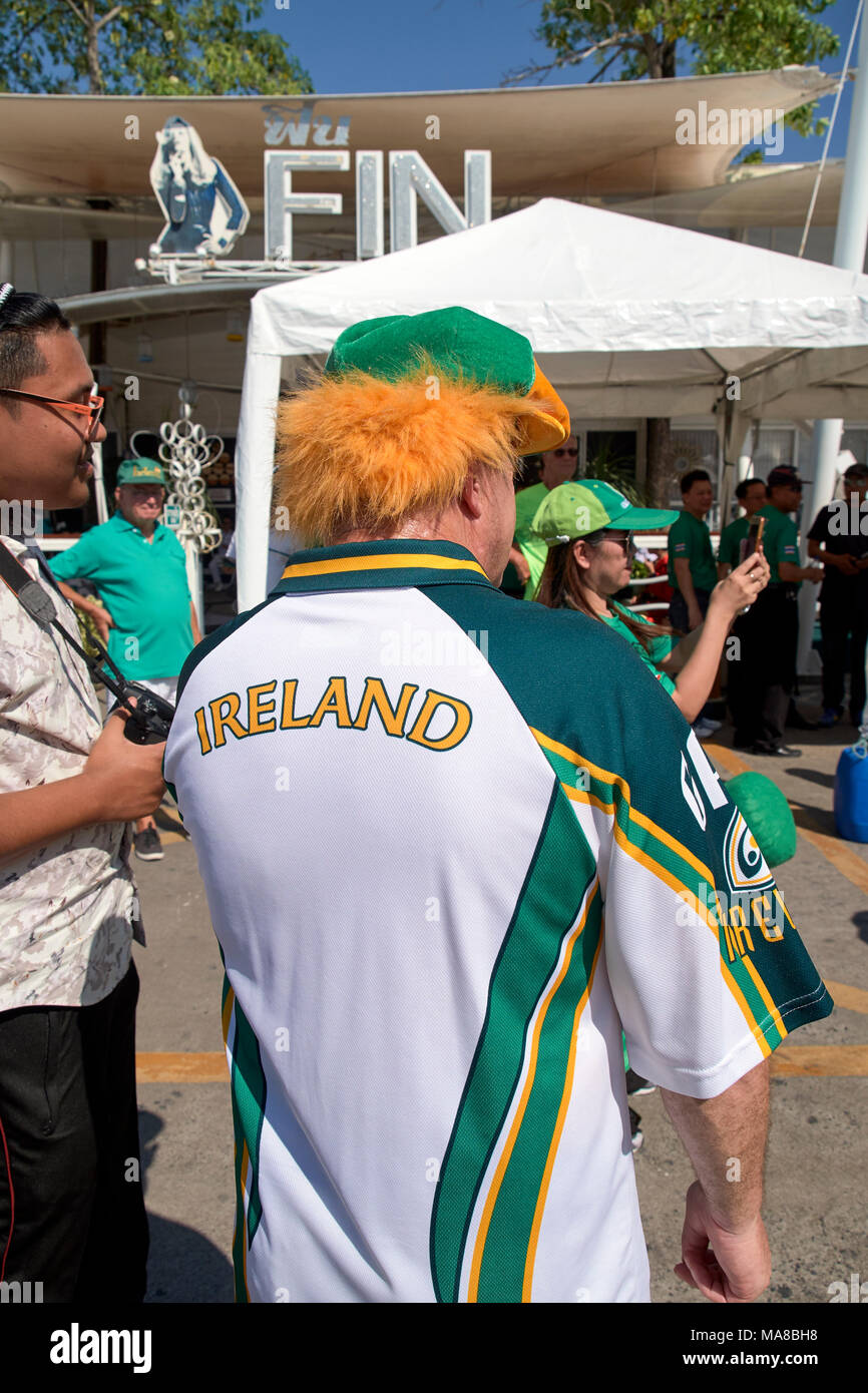 Irish man. St. Patrick's Day participant. Irish patriot Stock Photo - Alamy