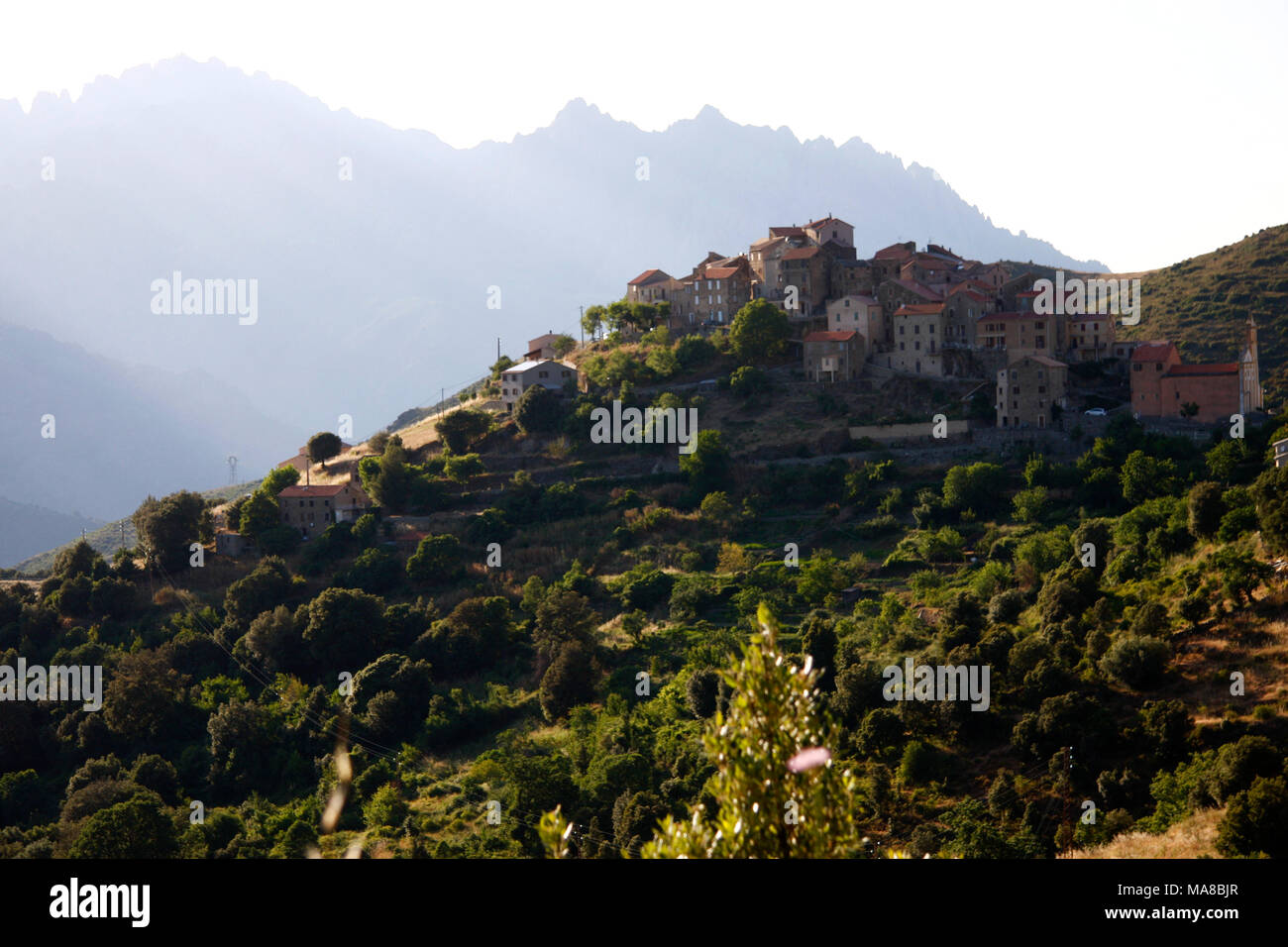 Kosika High Resolution Stock Photography and Images - Alamy