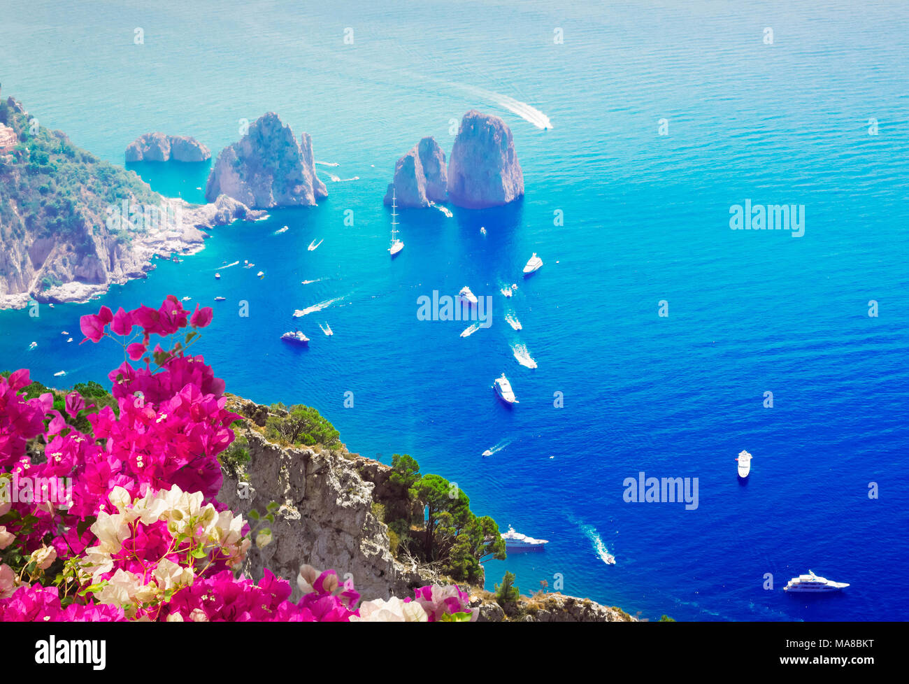 Summer flowers capri hi-res stock photography and images - Alamy