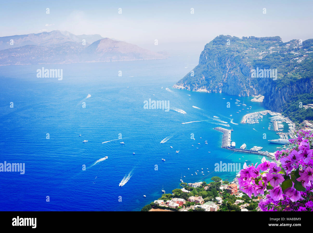 Summer flowers capri hi-res stock photography and images - Alamy
