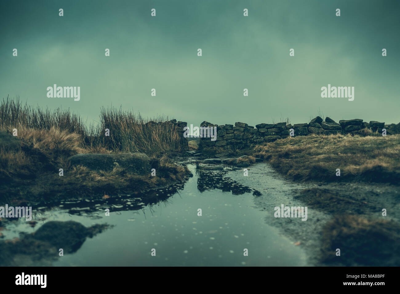 Beautiful land scape grass hi-res stock photography and images - Alamy