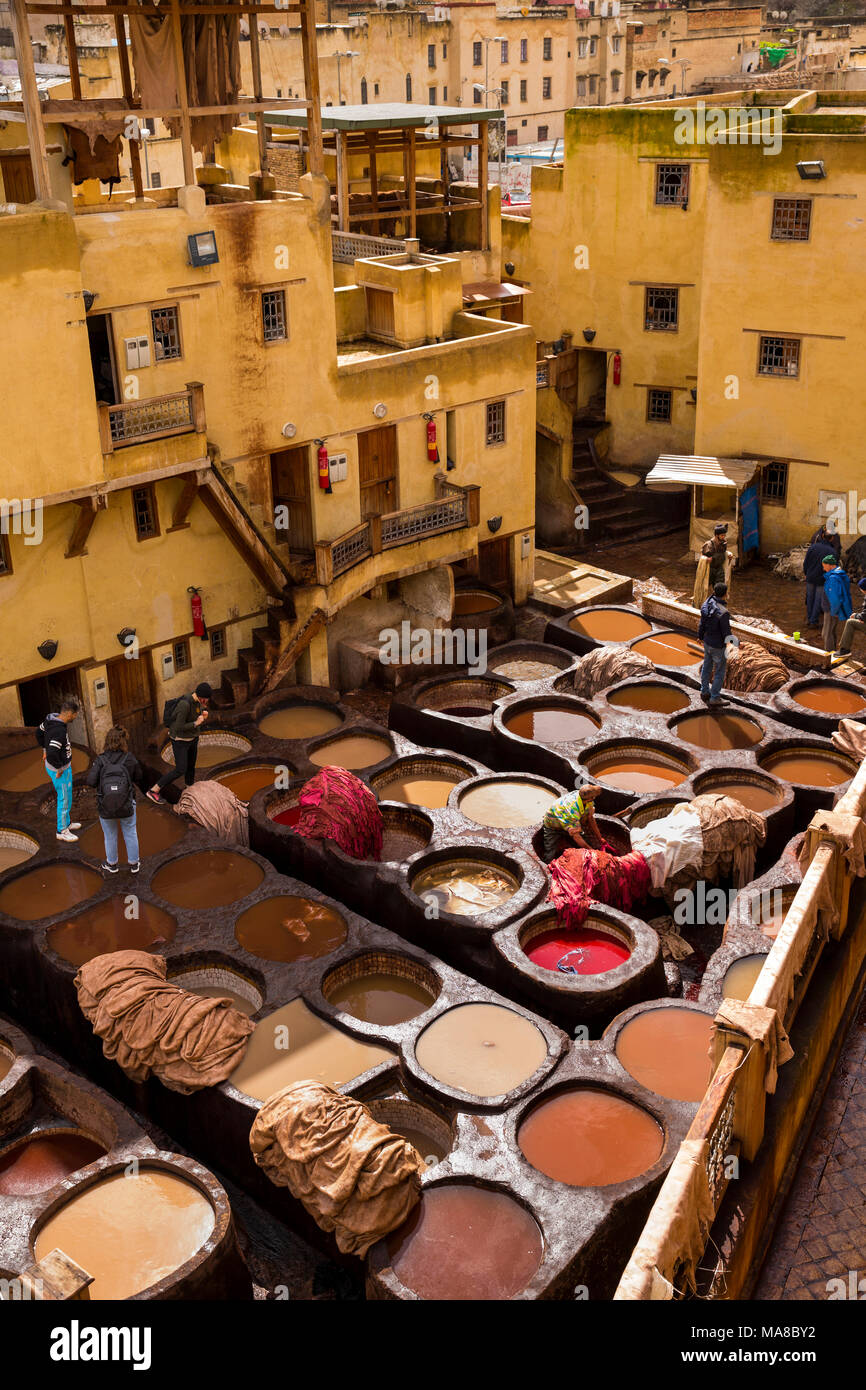 Morocco, Fes, Chaouwara Tanneries, workers tanning leather in large ...
