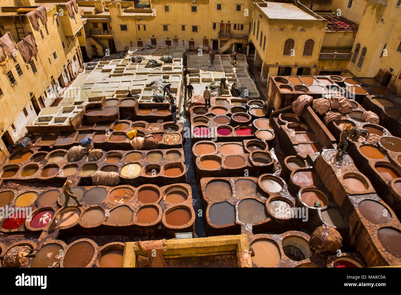 Morocco, Fes, Chaouwara Tanneries, workers tanning leather in large ...