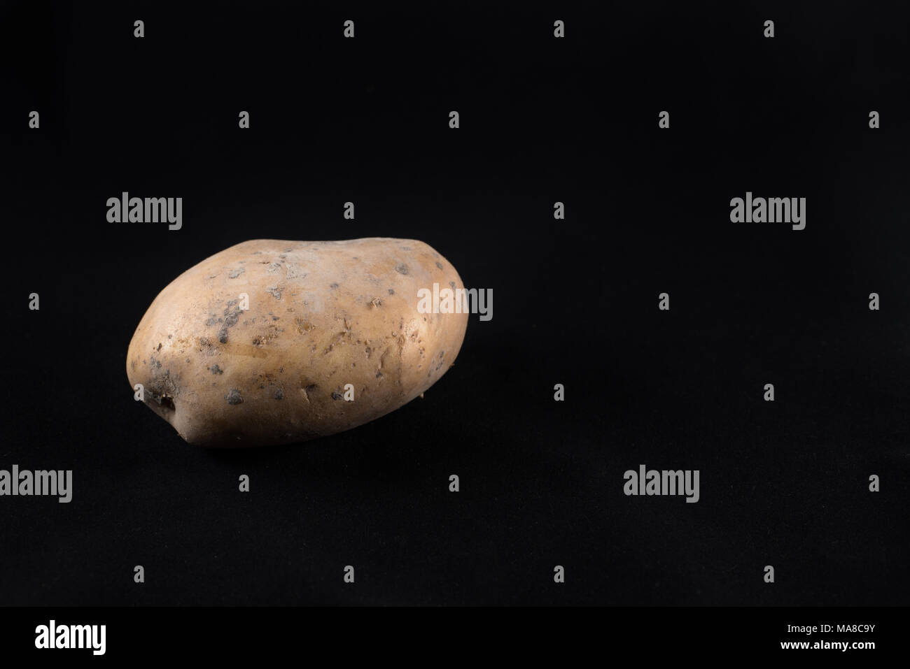 fresh unpeeled potato isolated on black background. food ingredients ...