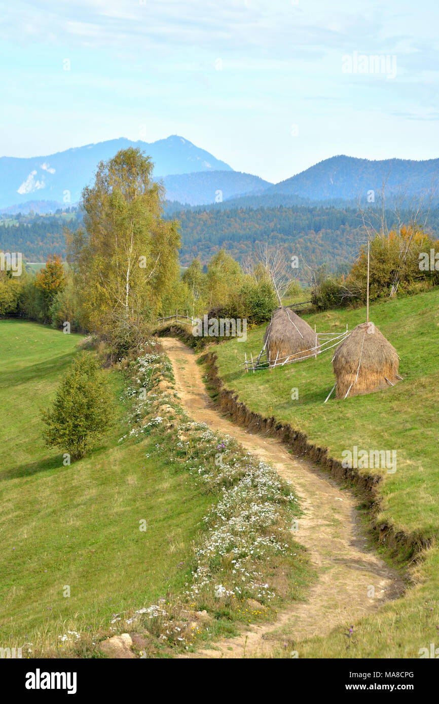 footpath crossing over the hill Stock Photo - Alamy