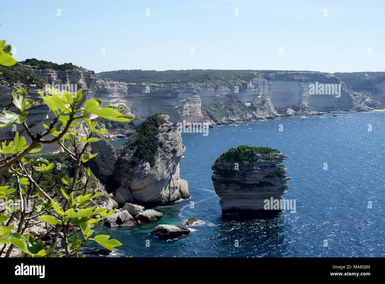 View of the steep white cliffs from Bonifacio upper town, Bonifacio ...