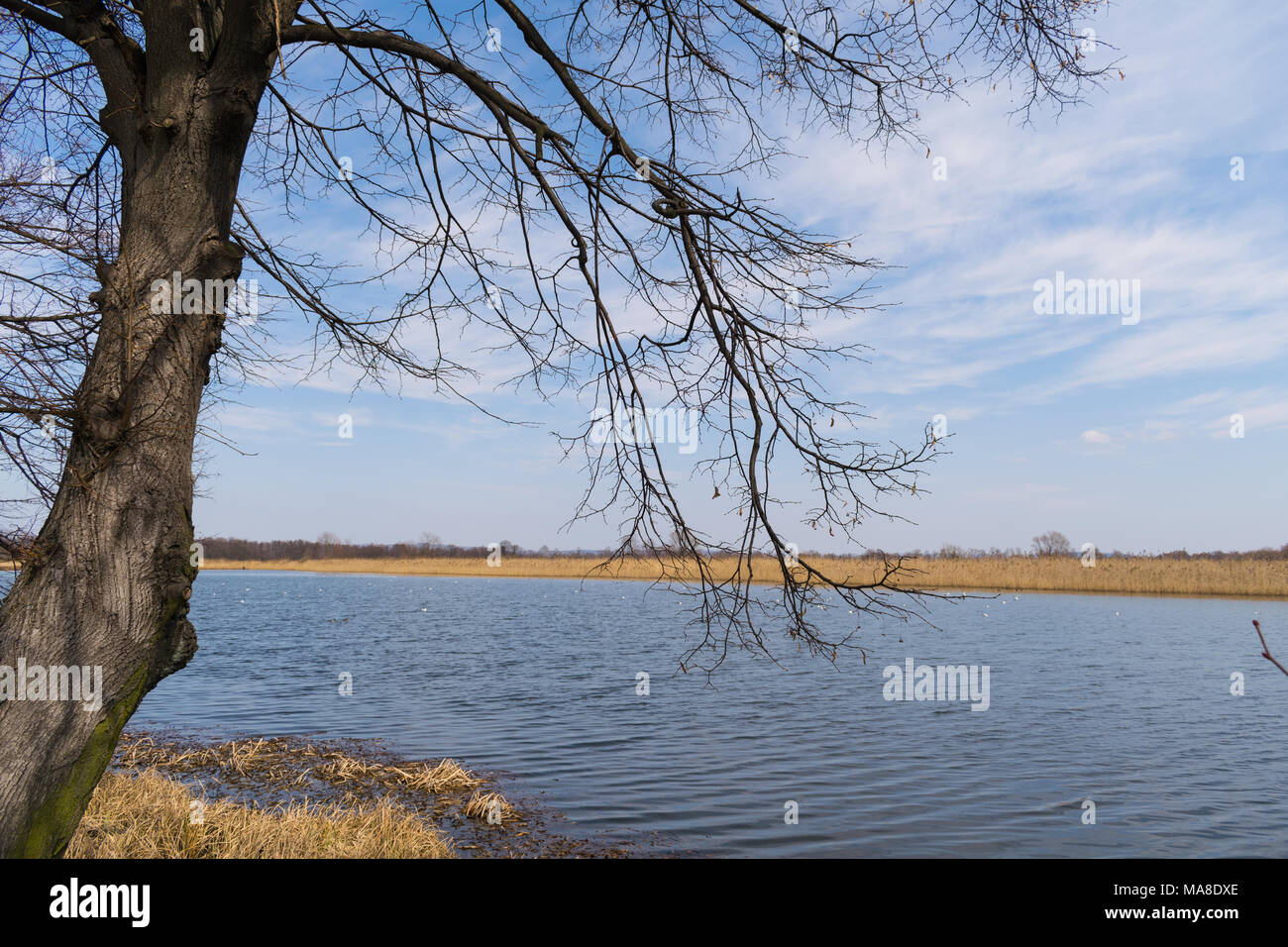 spring lake. Natura 2000 Poland Stock Photo - Alamy