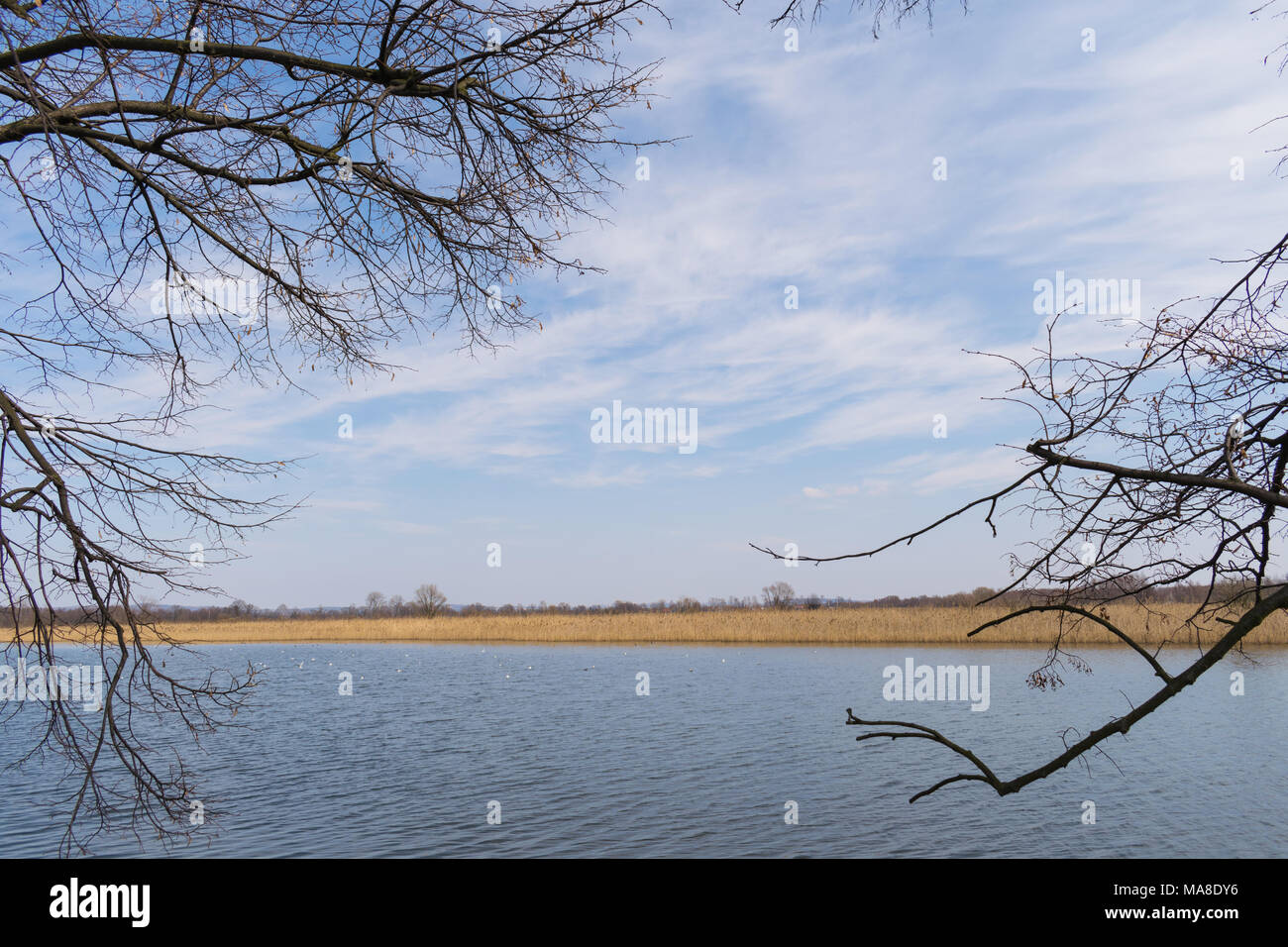 2000 trees hi-res stock photography and images - Alamy