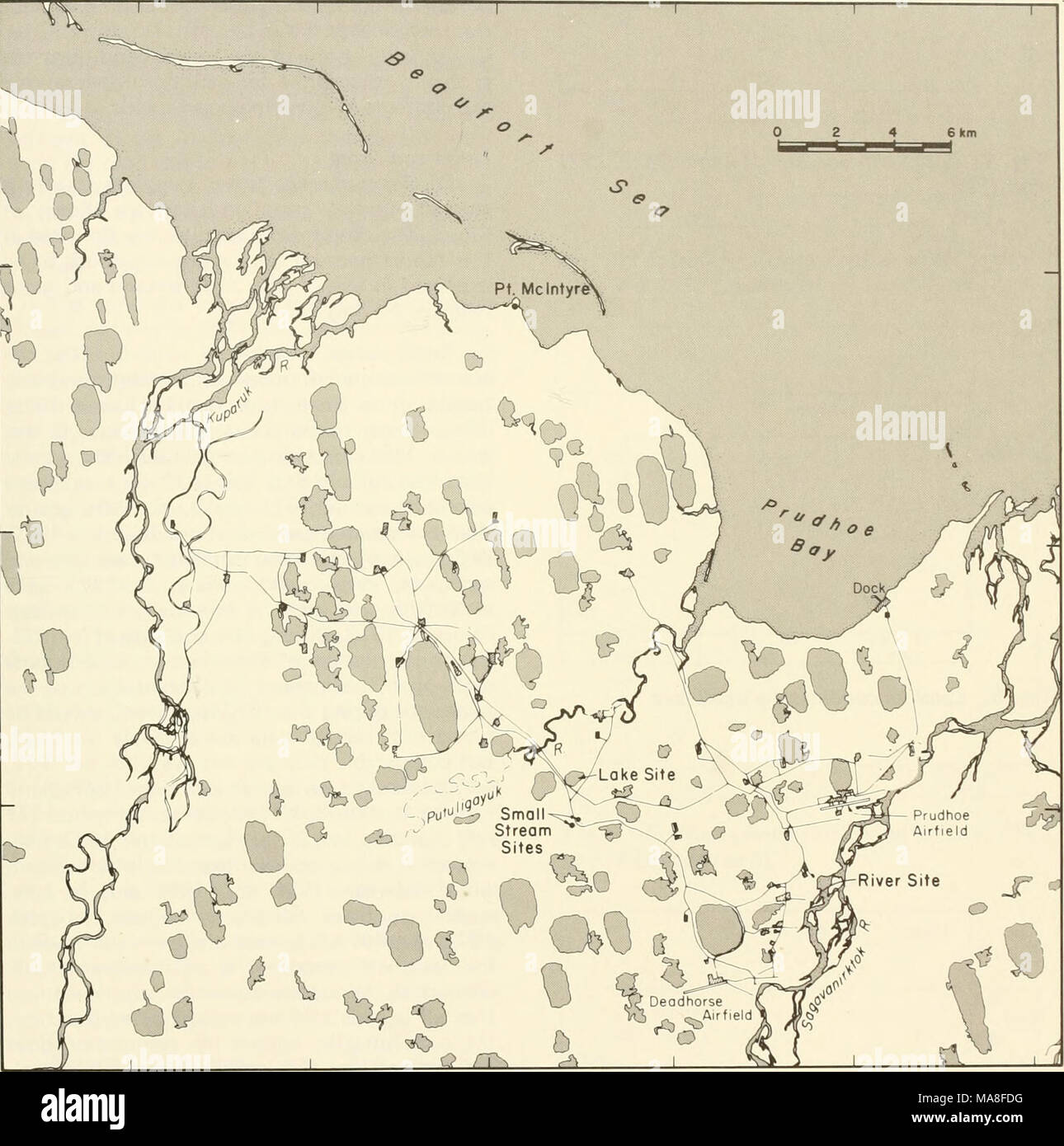 . Ecological investigations of the tundra biome in the Prudhoe Bay ...