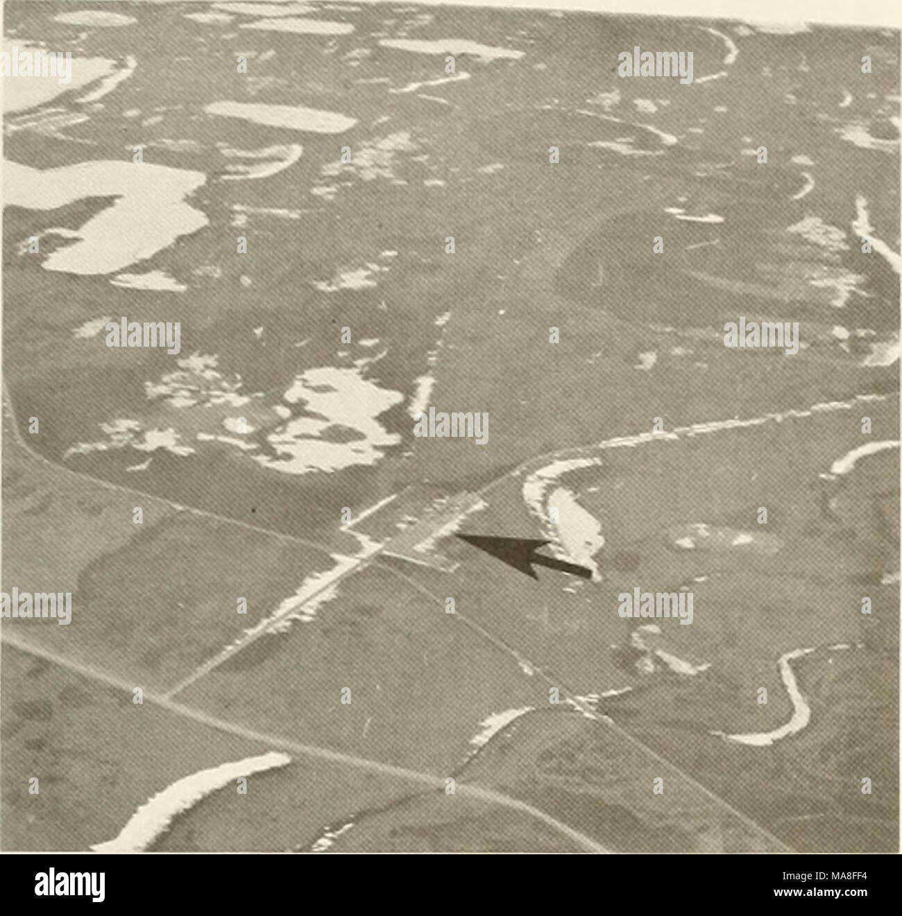 . Ecological investigations of the tundra biome in the Prudhoe Bay ...