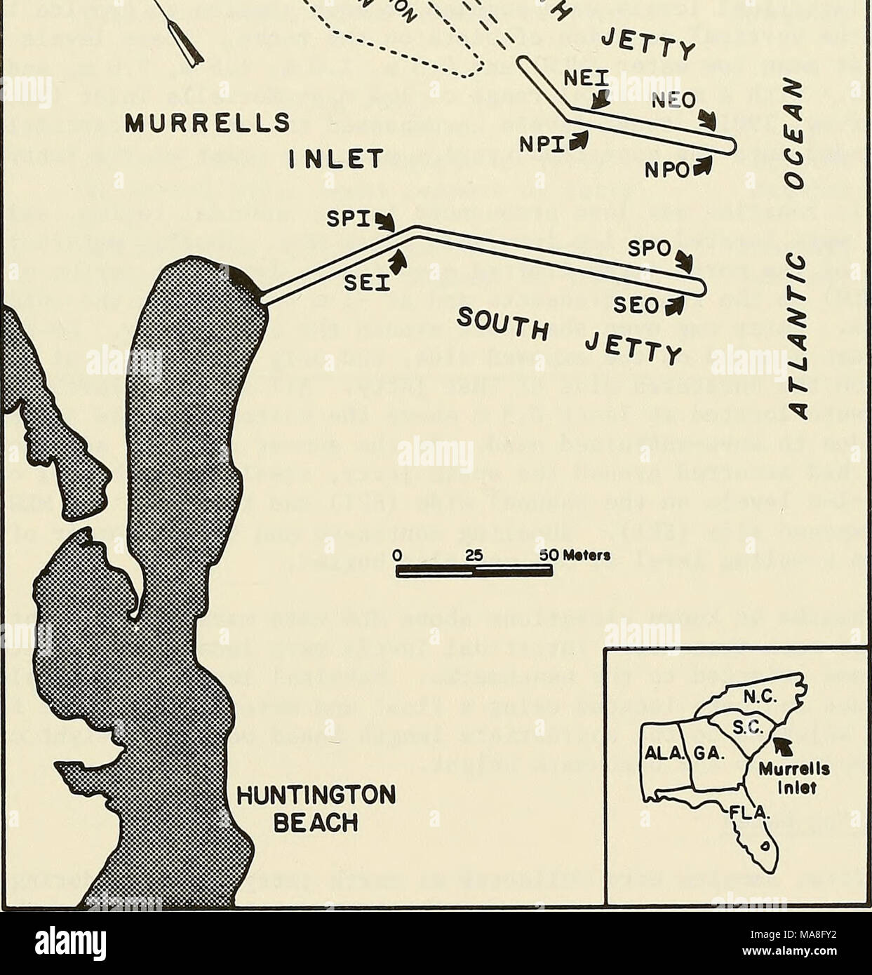 Mapa De Murrells Inlet Amazon.com: Terra Prints The Murrells Inlet