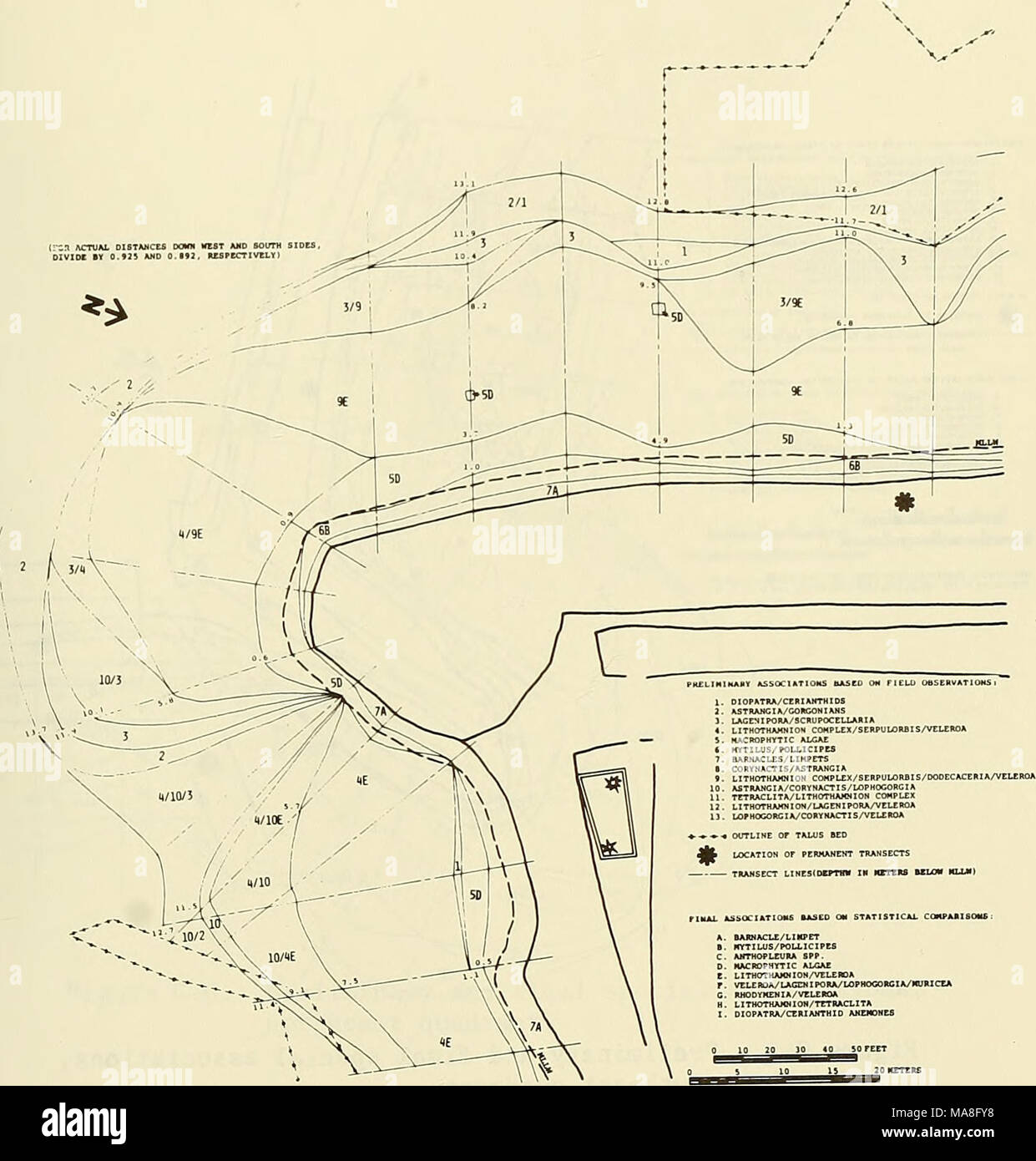 Punta final hi-res stock photography and images - Alamy