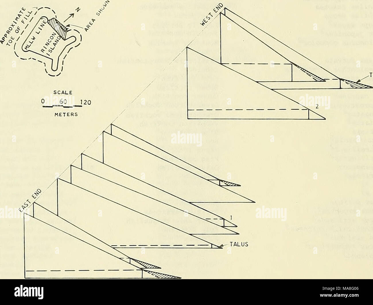 . Ecological effects of an artificial island, Rincon Island, Punta ...