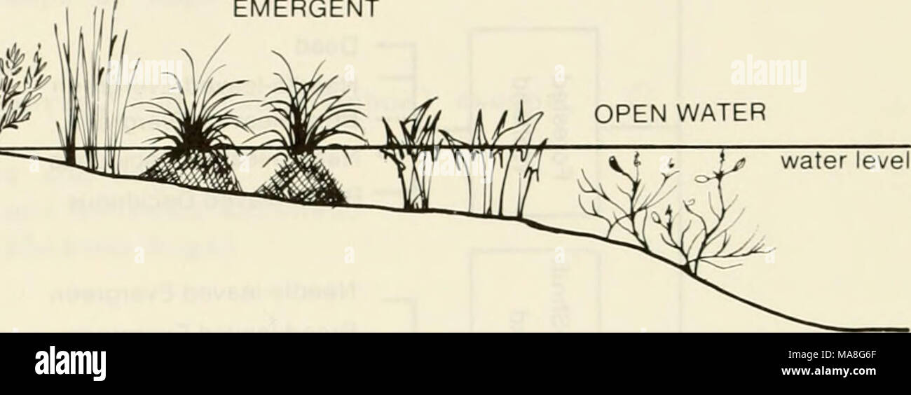 Number 702 hi-res stock photography and images - Alamy