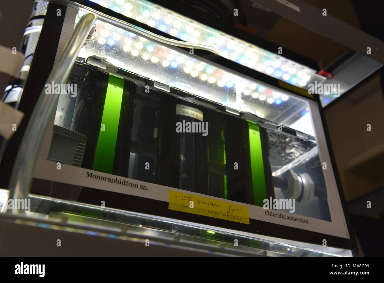 Low angle photograph of a Laboratory Environmental Algae Pond Simulator ...