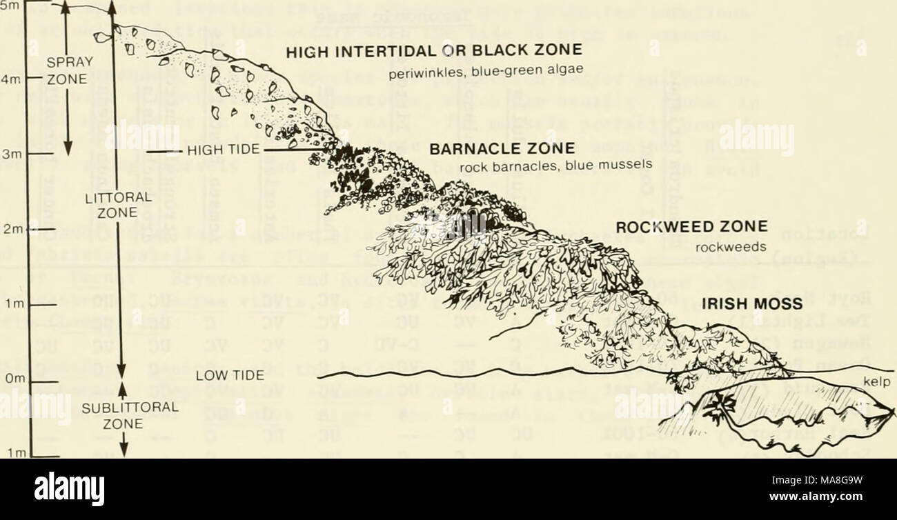 . An ecological characterization of Coastal Maine (north and east of ...