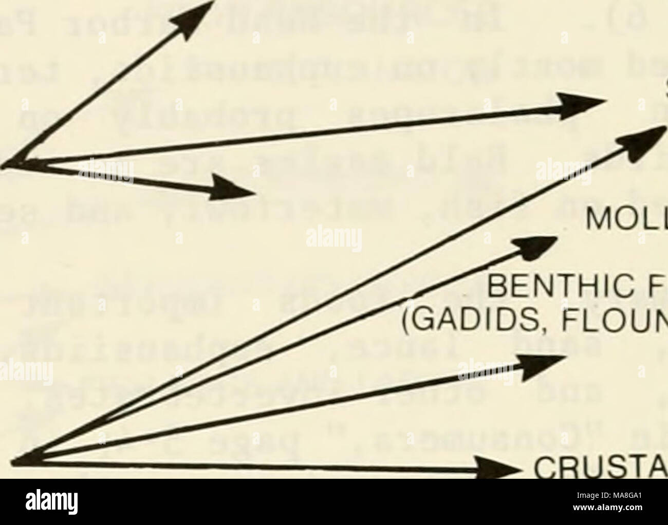. An ecological characterization of Coastal Maine (north and east of ...